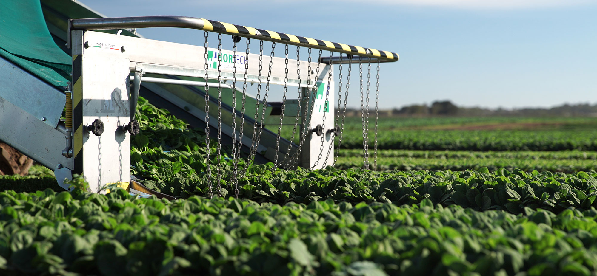 Aussies miss out on vital nutrients from fresh produce as eating habits ...
