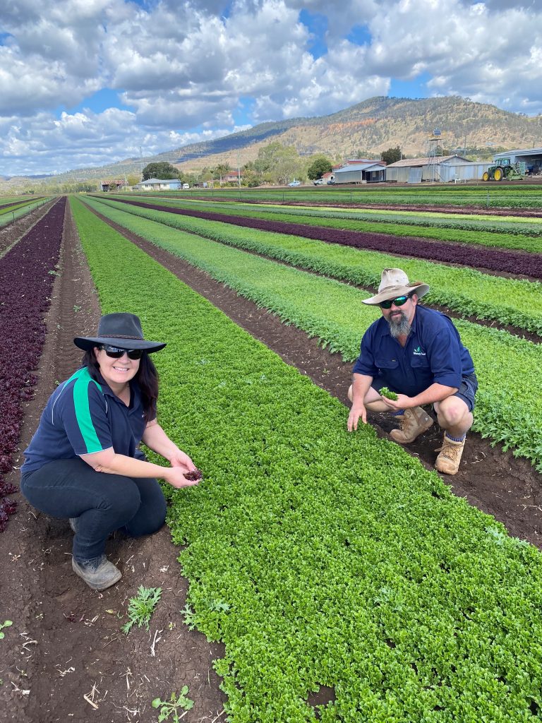 Desley's Passion for Organics - One Harvest