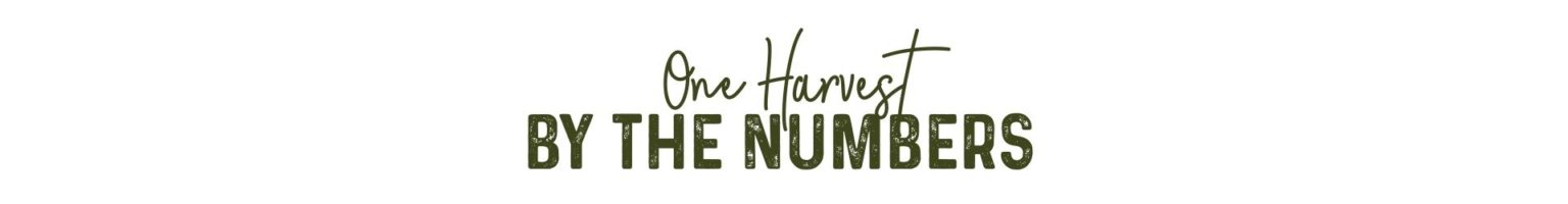 Family-Owned Fresh Produce Company | One Harvest